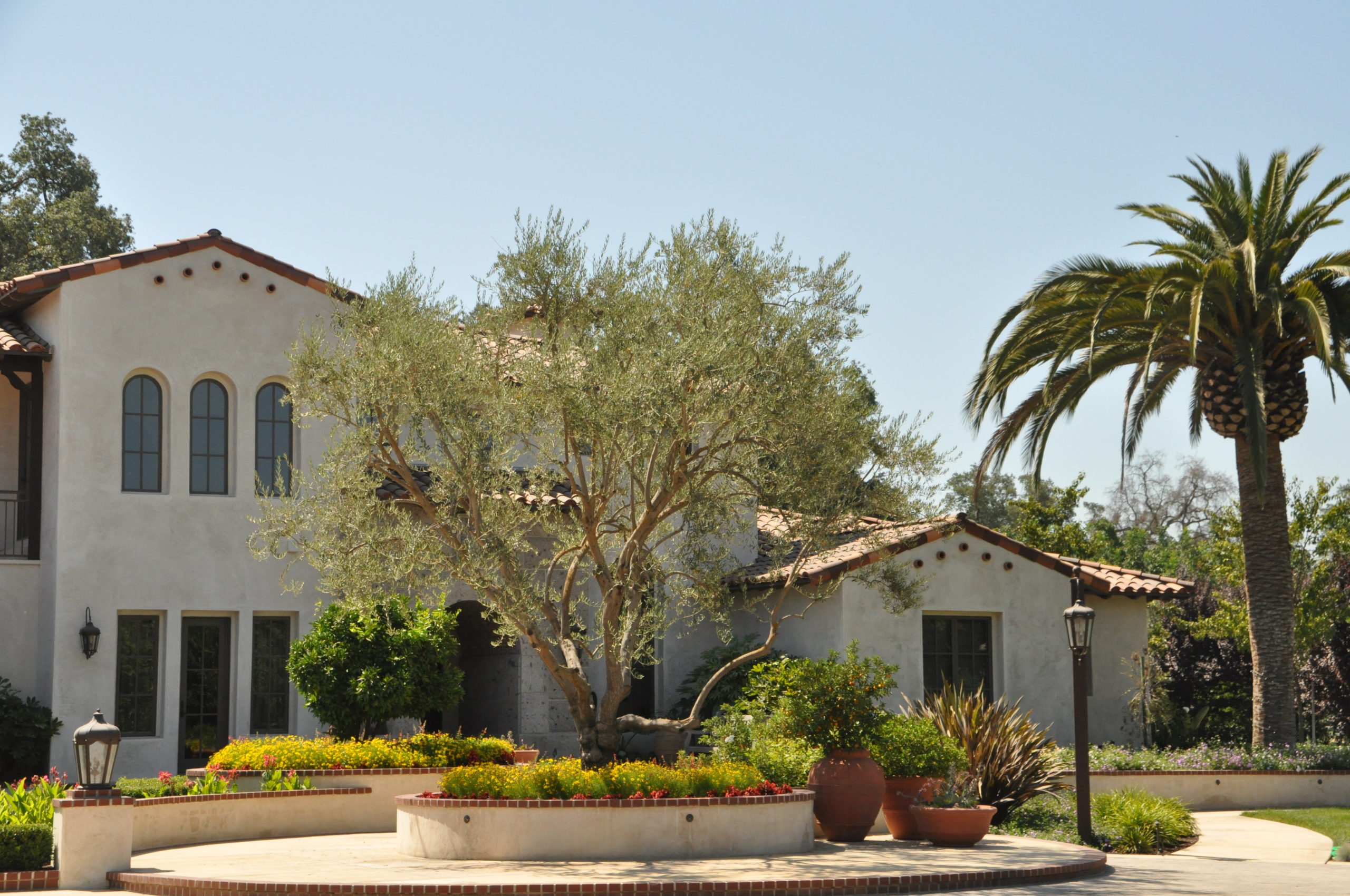 Pacific West Tree Nursery – Provider and Supplier of Specimen Trees