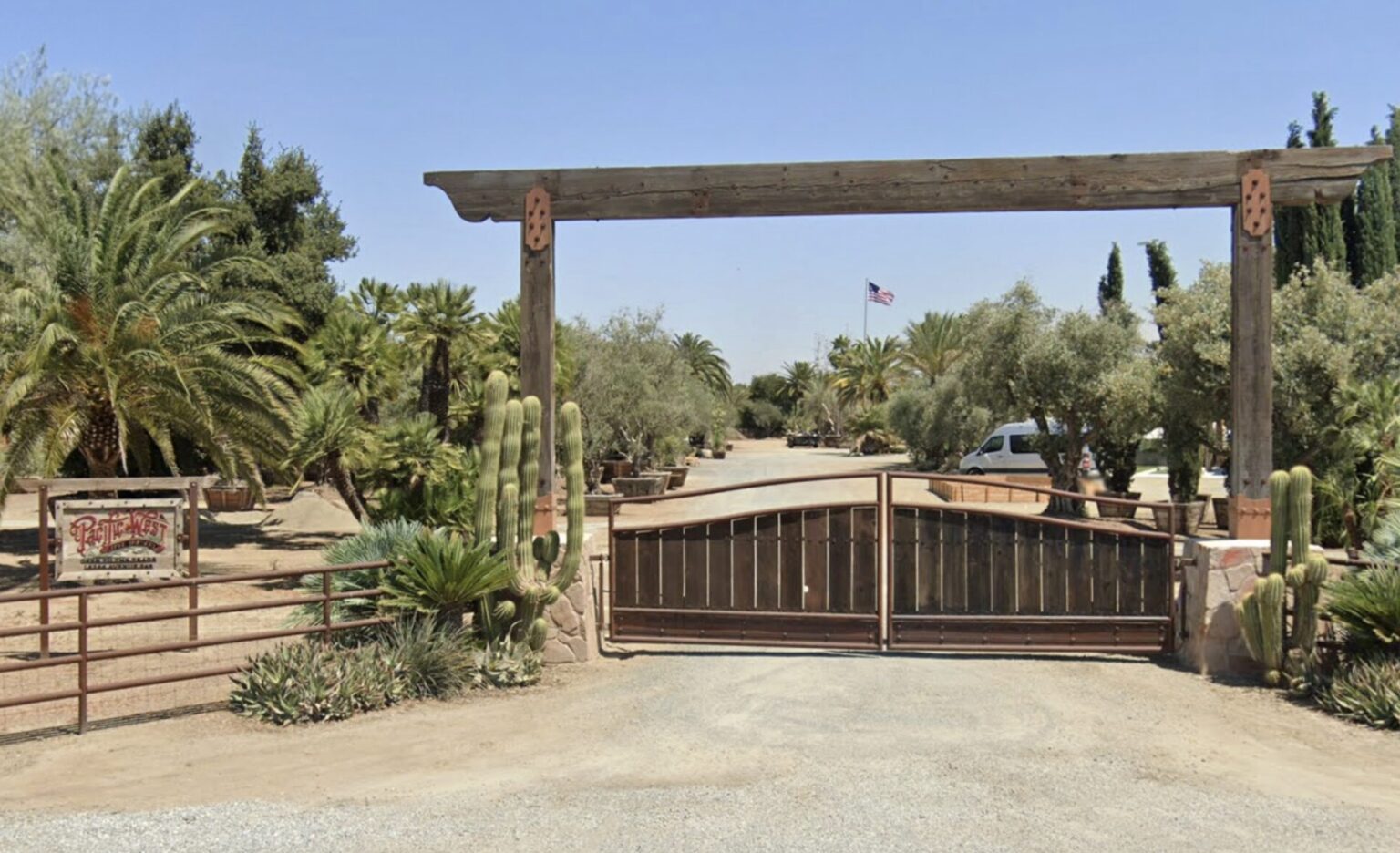 Pacific West Tree Nursery – Olive, Palm, Orange, and more – Premiere ...